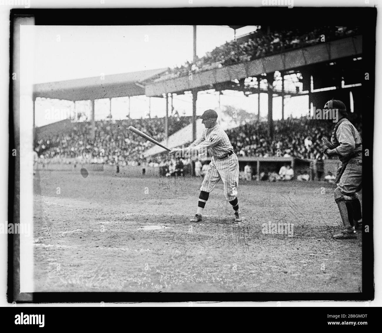 Goslin hi-res stock photography and images - Alamy