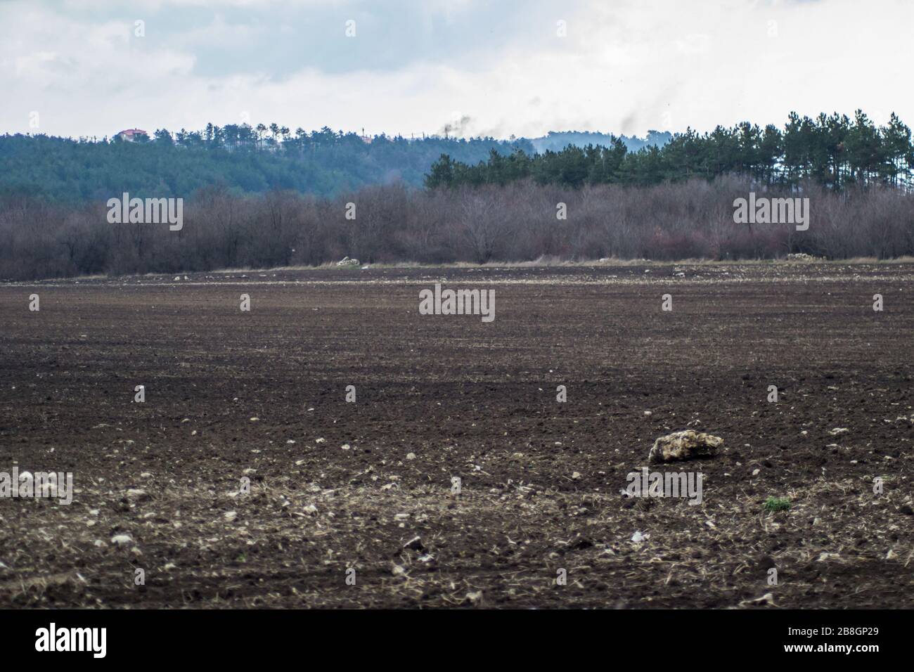 Freshly plowed virgin field, natural background with trees on the back ...