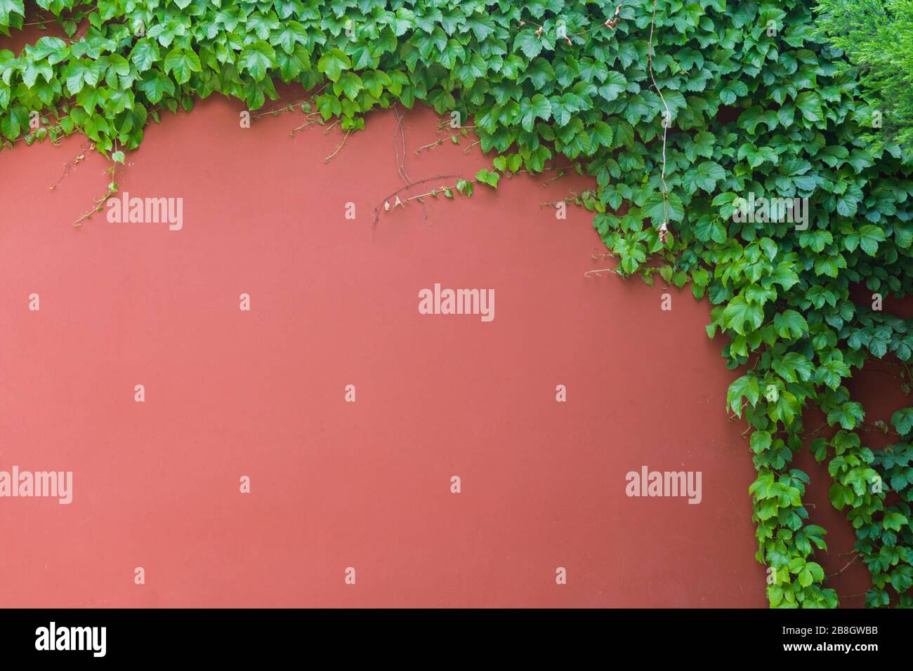 Chinese red wall Stock Photo - Alamy