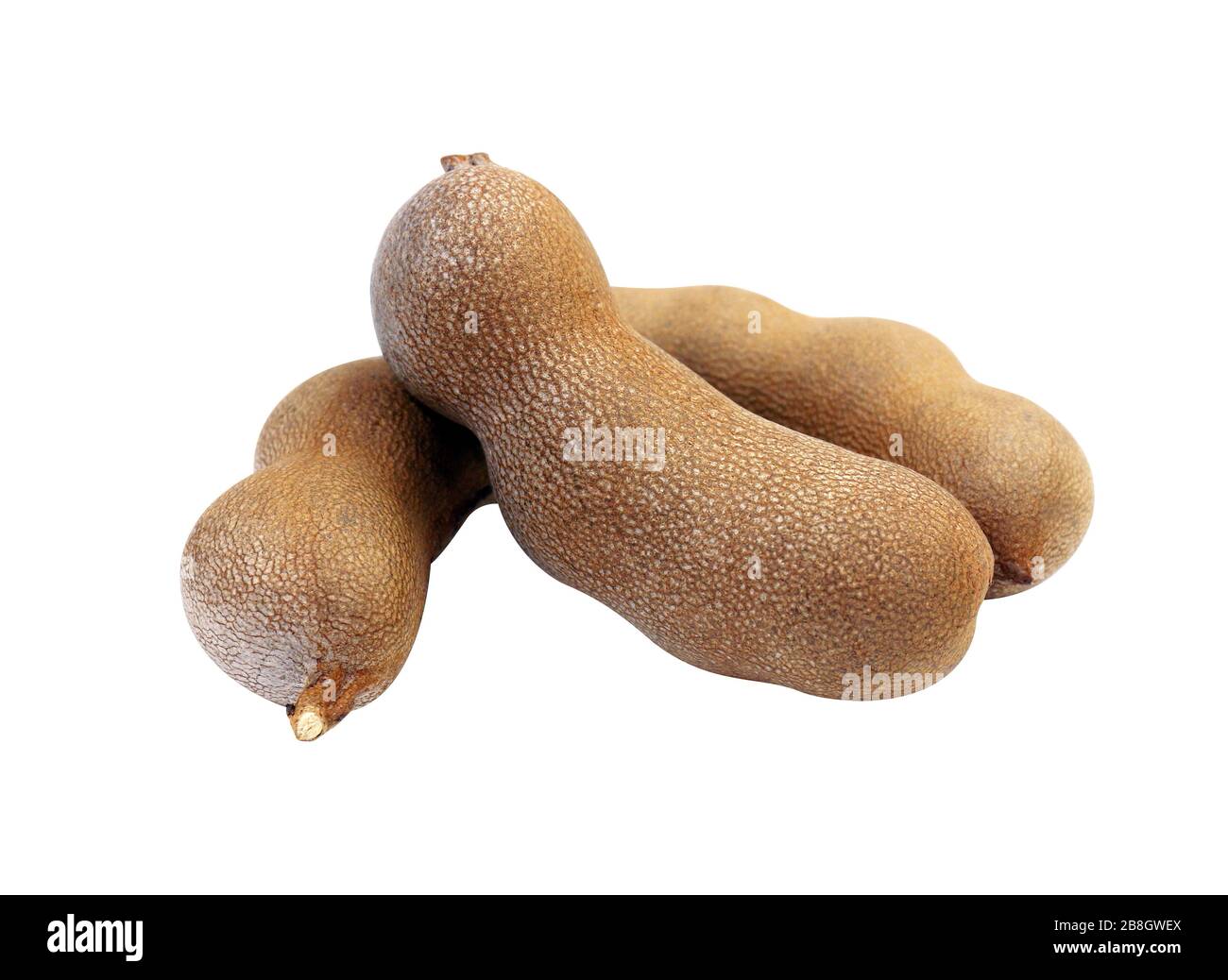 tamarind, sweet tamarind, brown tamarind, tamarind heap isolated on ...