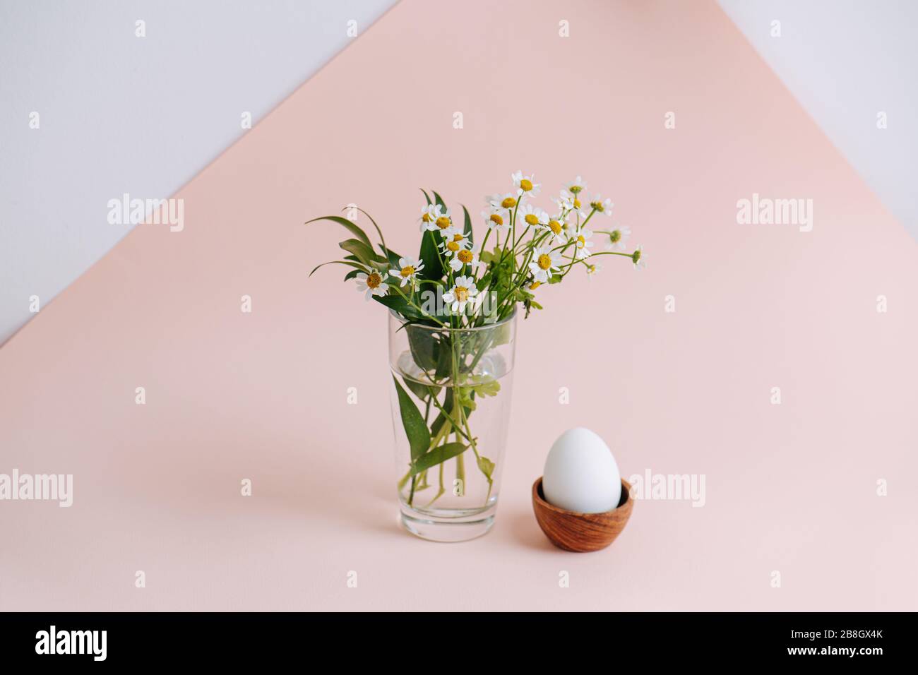Long shot of a white egg in a wooden egg stand over pink surface Stock ...