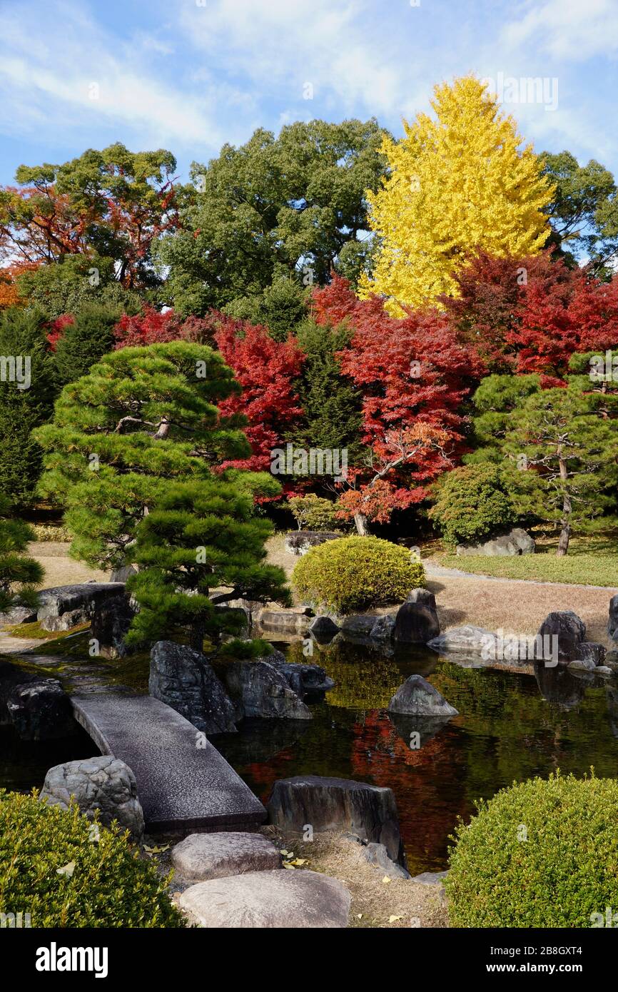 Kinkakuji fall foliage hi-res stock photography and images - Alamy