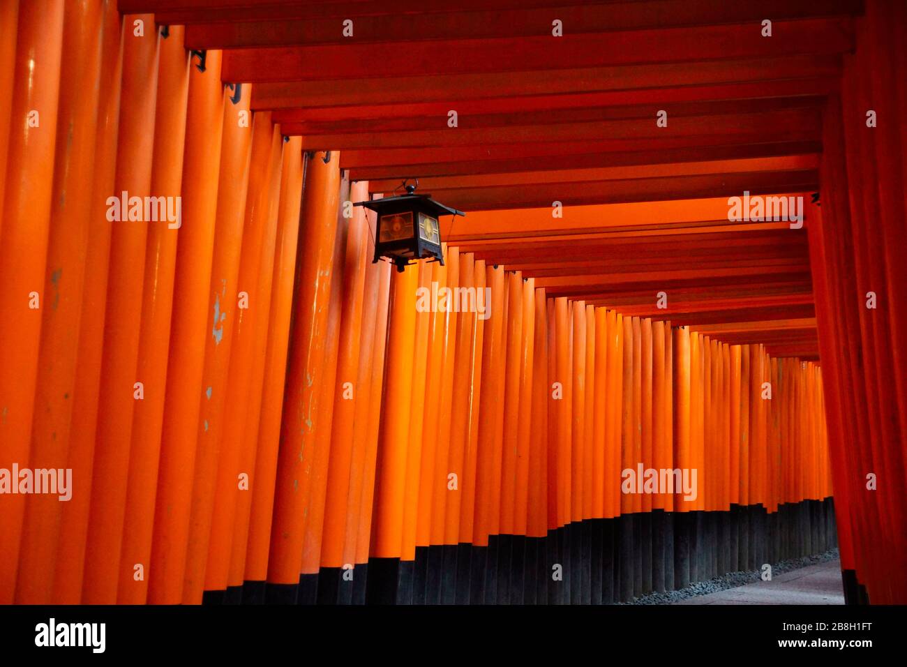 Tori in Fushimi Inari-taisha shrine in Kyoto Japan Stock Photo - Alamy