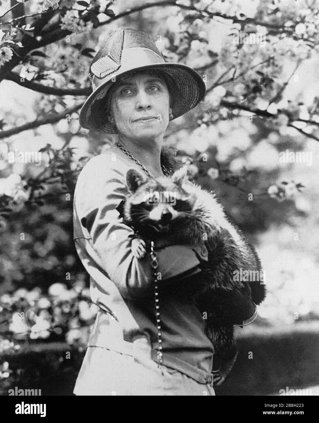 Grace coolidge hi-res stock photography and images - Alamy