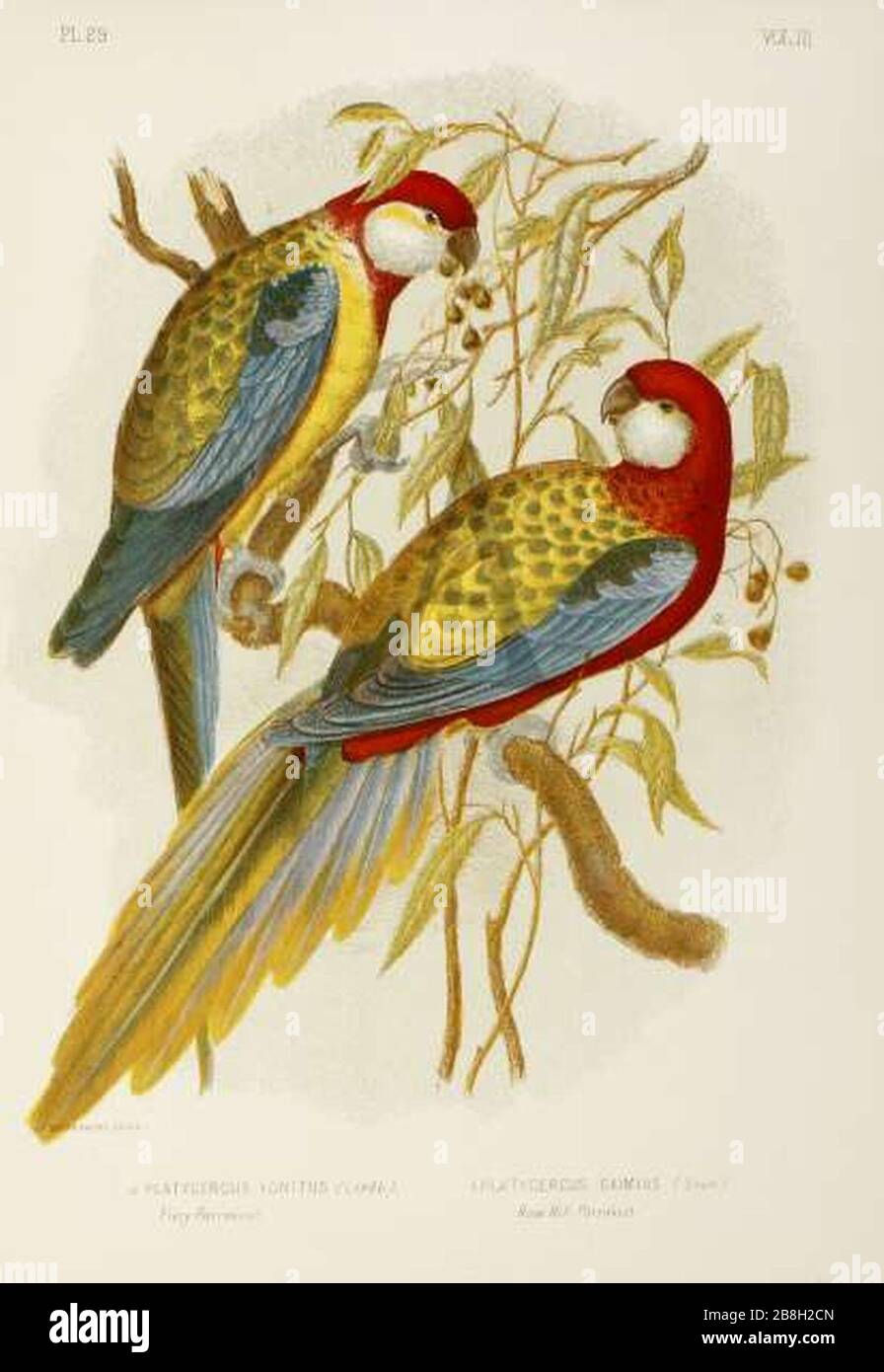 Gracius hi-res stock photography and images - Alamy