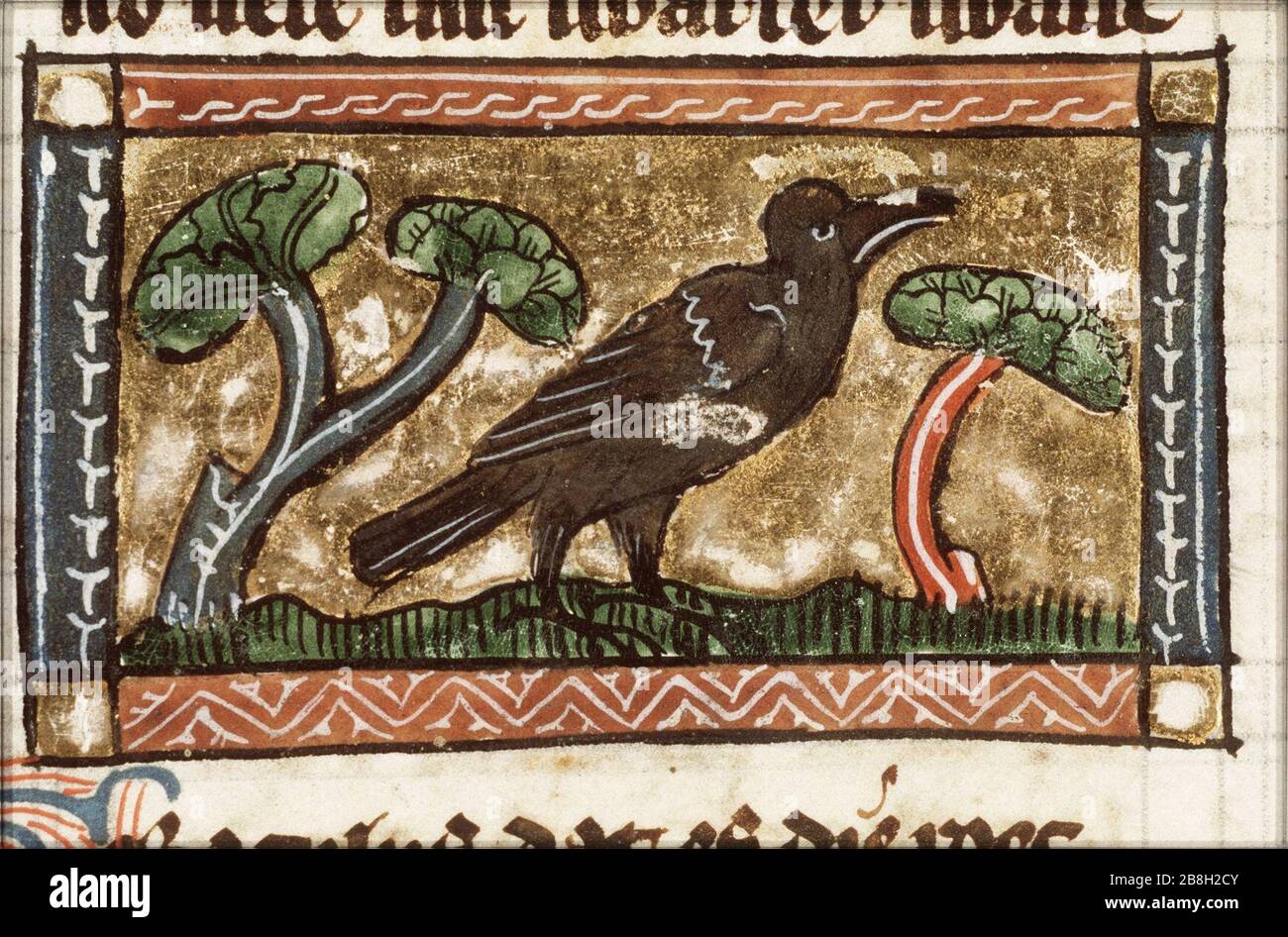 Graculus (rook) - Der naturen bloeme - Jacob van Maerlant - KB KA 16 ...