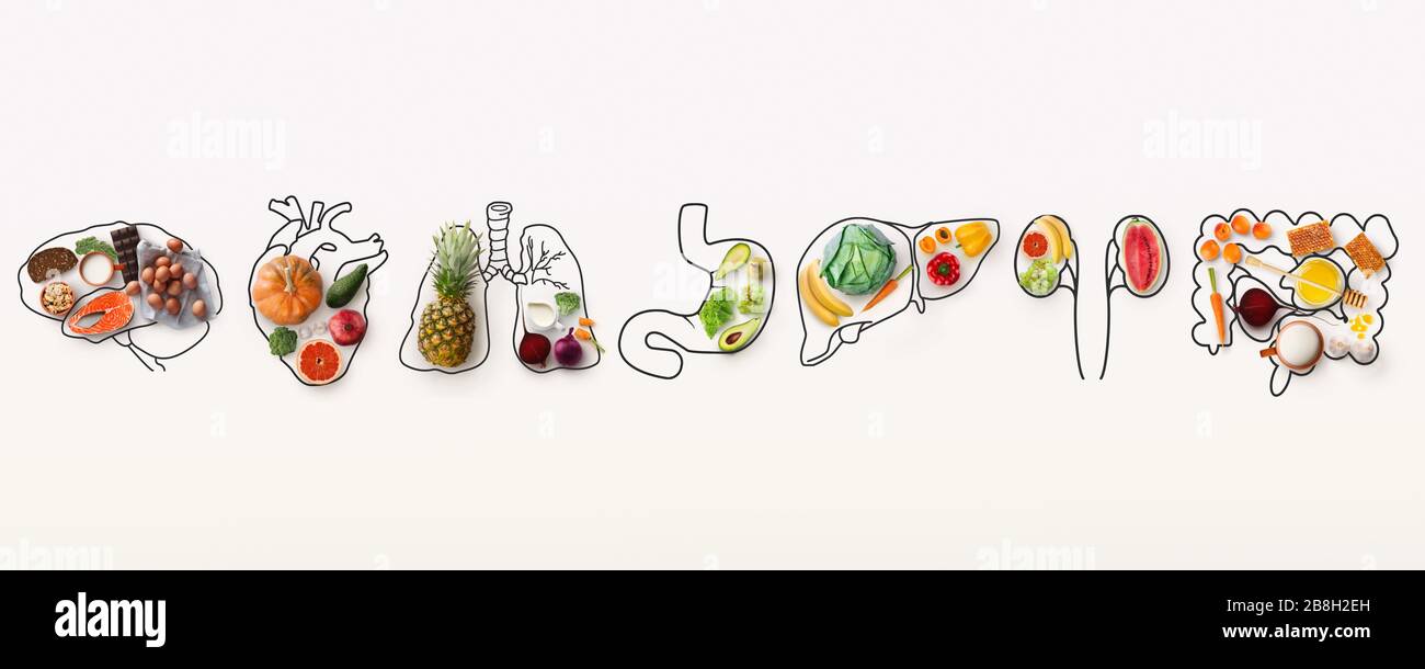 Best menu for healthy body. Collage with outlines of human internal ...