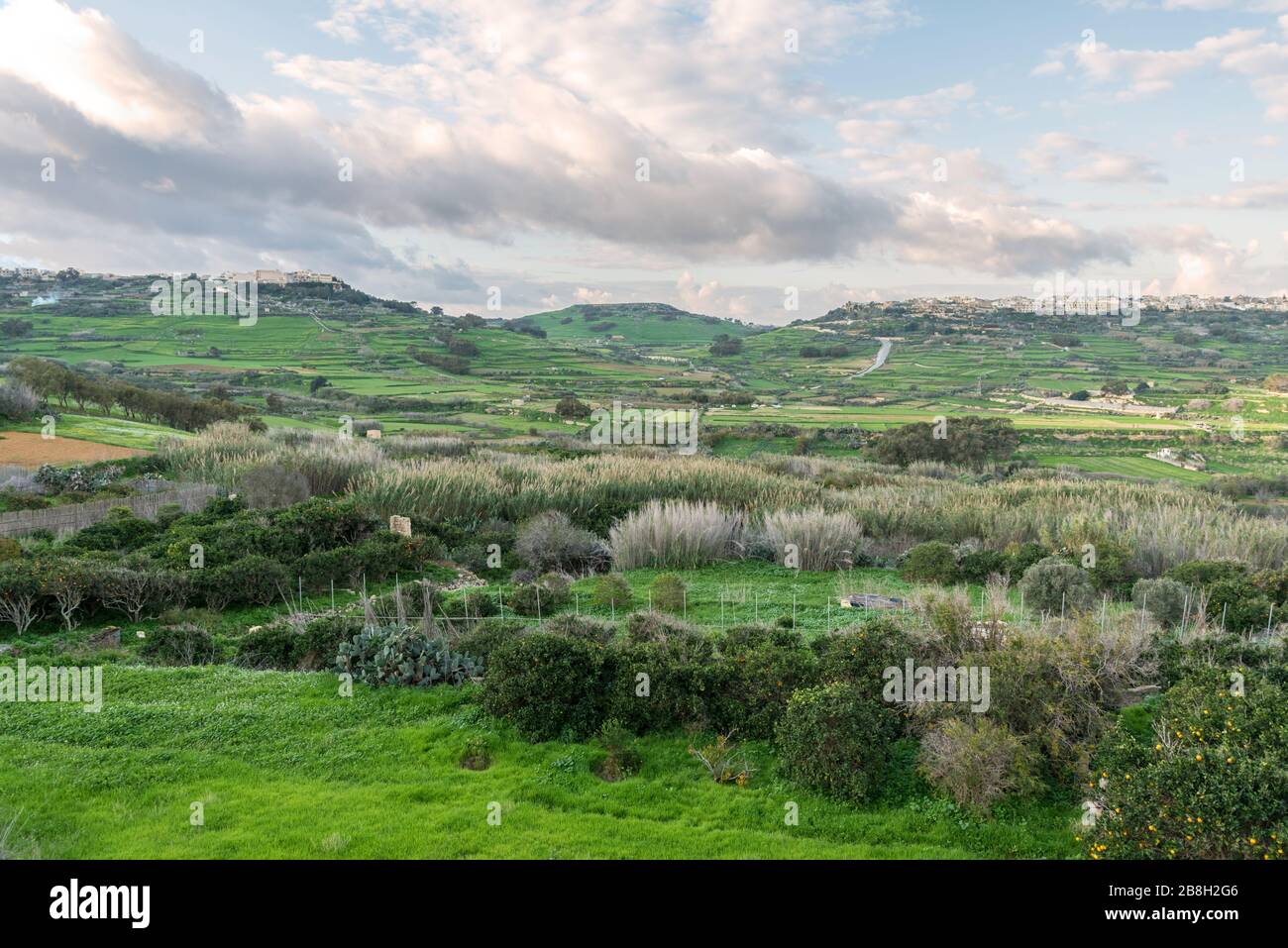 Malta landscape hi-res stock photography and images - Alamy