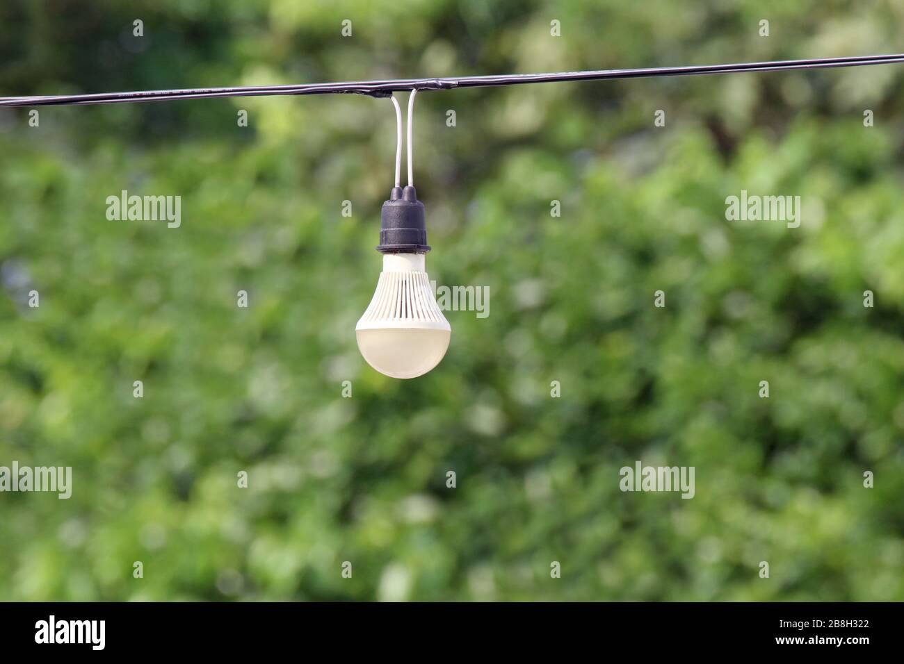 Light bulb hanging on the cord electric wire line cable with green ...