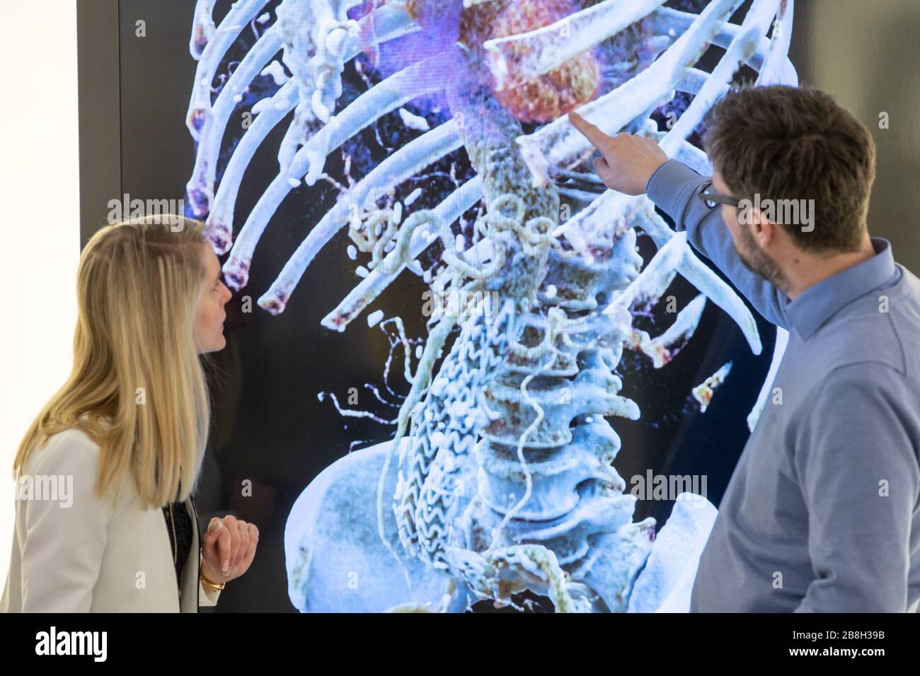 3d human body x rays 3d hi-res stock photography and images - Alamy