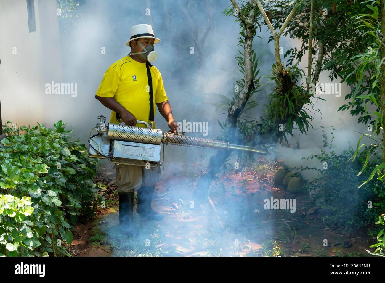 Thailand, Phuket, March 20, 2020: a Gardener does poison acts by ...