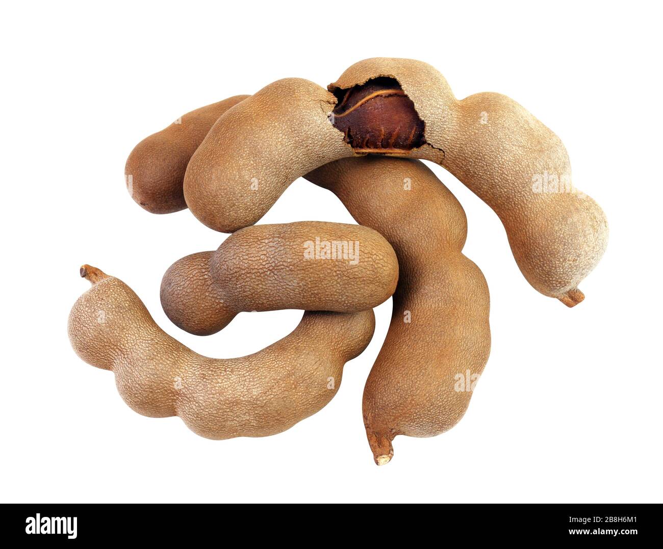 tamarind, sweet tamarind, brown tamarind, tamarind heap isolated on ...