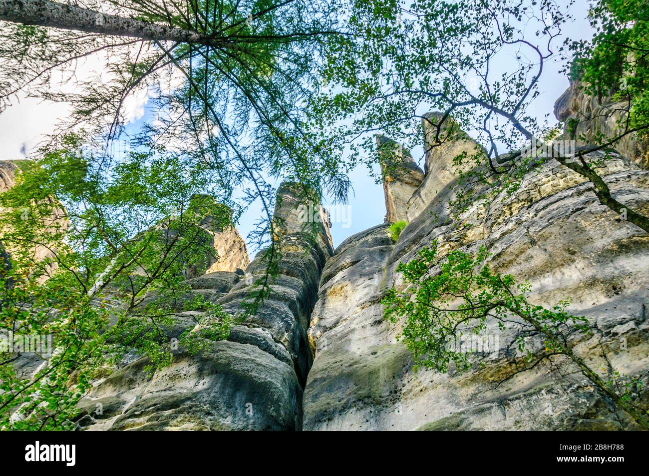 Elbe valley unesco hi-res stock photography and images - Alamy