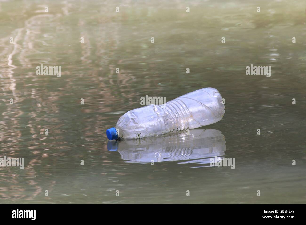 Plastic Bottle Waste On the water surface dirty, Rotten water, Bottle ...