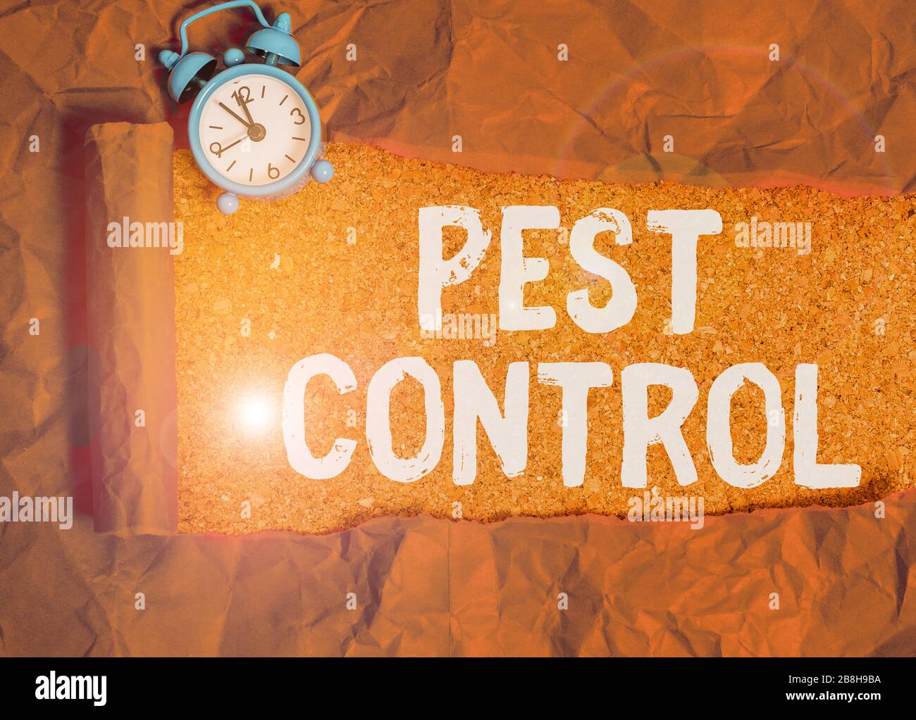 Writing note showing Pest Control. Business concept for management of a ...