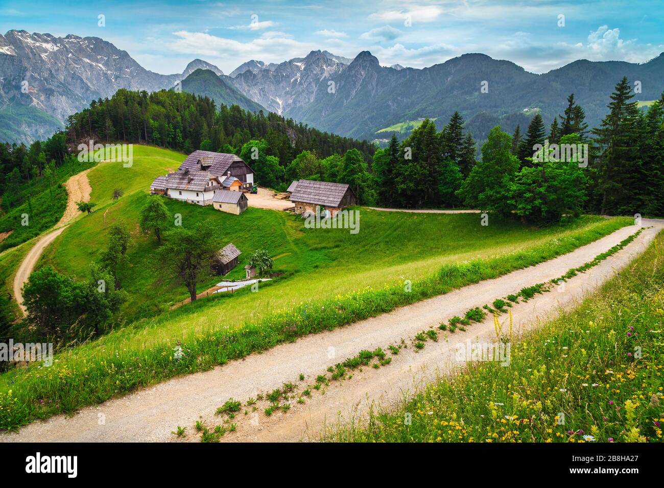 Summer alpine countryside landscape with high mountains and farms in the forest glade, Kamnik ...
