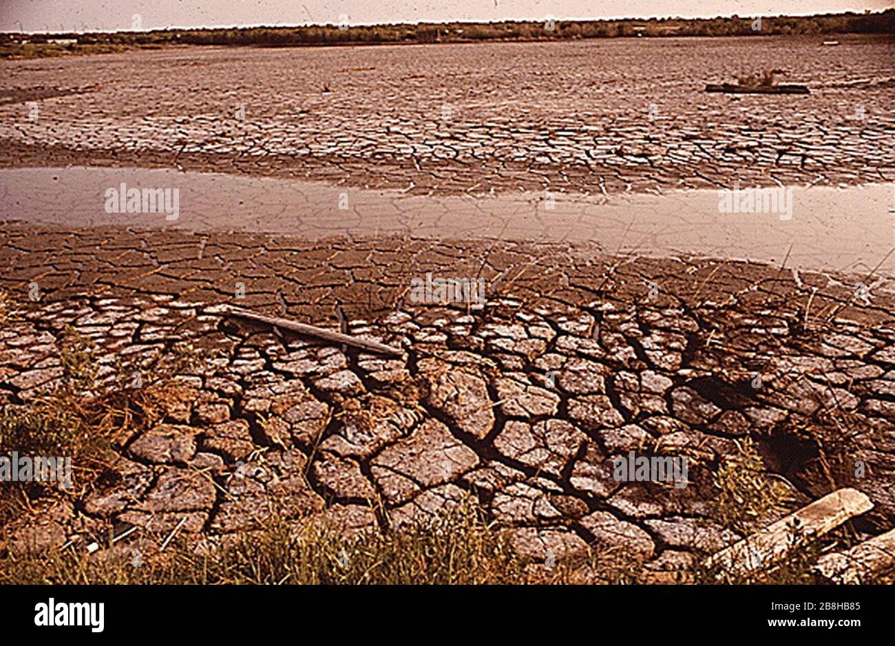 Grand Isle Drained Marsh Cracked Mud 1972 Stock Photo - Alamy