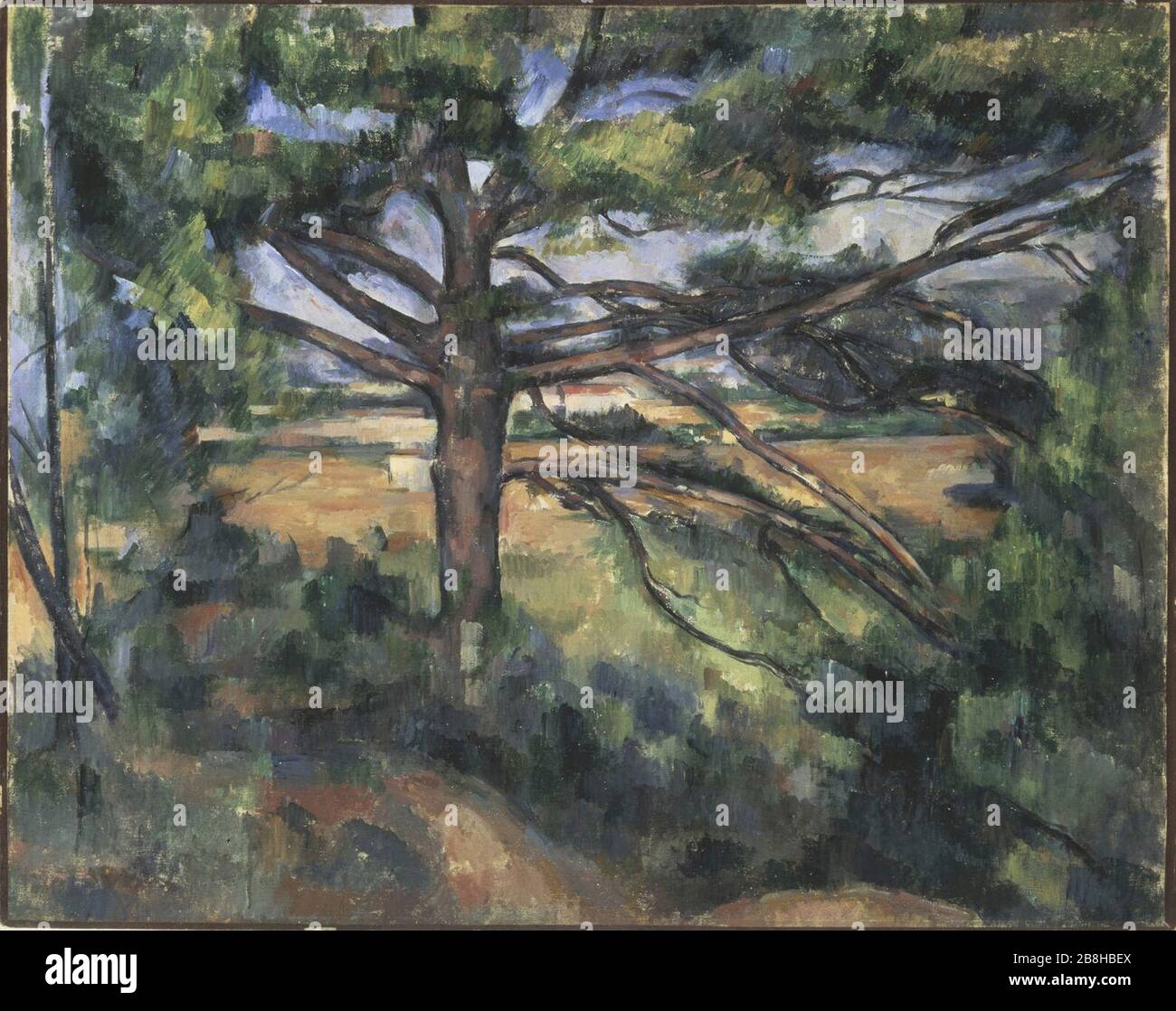 Grand pin et terres rouges, par Paul Cézanne, FWN 274 Stock Photo - Alamy