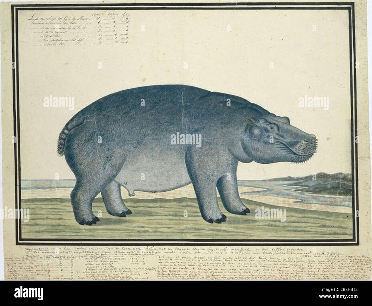 Robert jacob gordon hi-res stock photography and images - Alamy