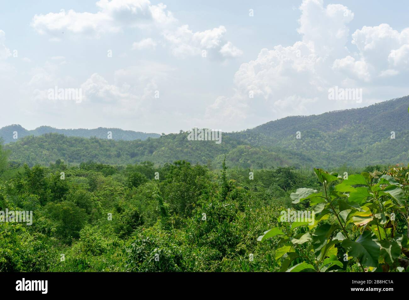 Mountain green tree. Blue sky with cloud Stock Photo - Alamy