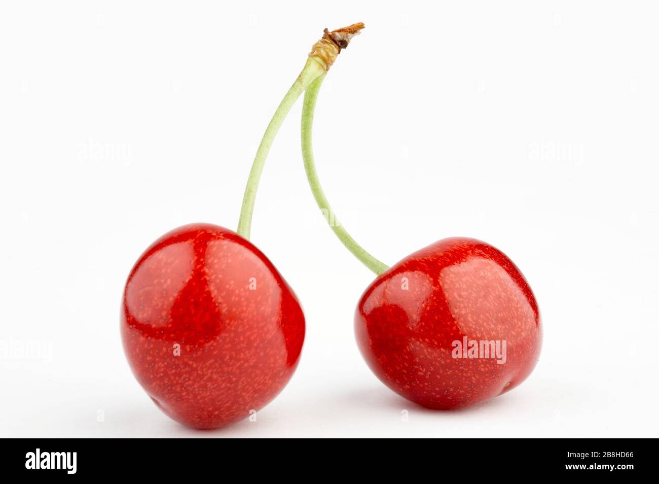 Sweet Cherry isolated on white background with soft shadow. High ...