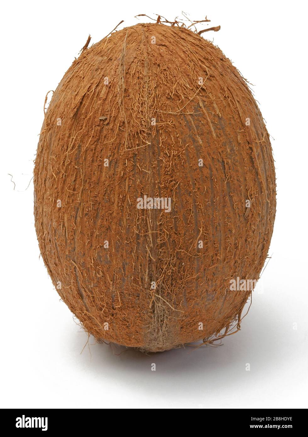 Coco isolated on the white background. High Quality Stock Photo - Alamy