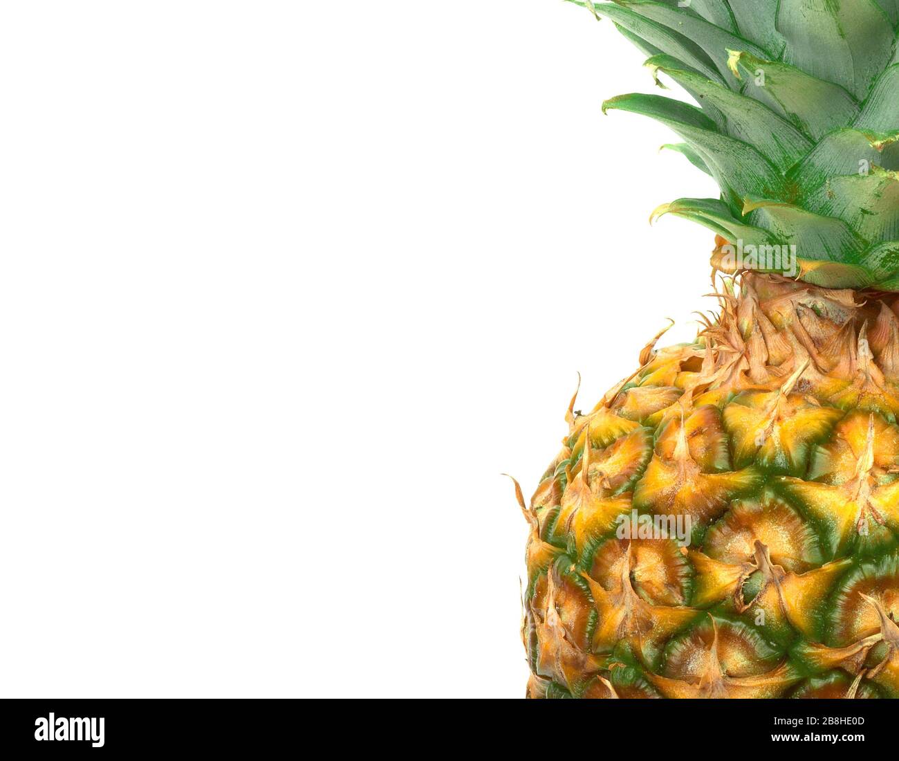 Photography horizontal close up cut out isolated backgrounds hi-res ...