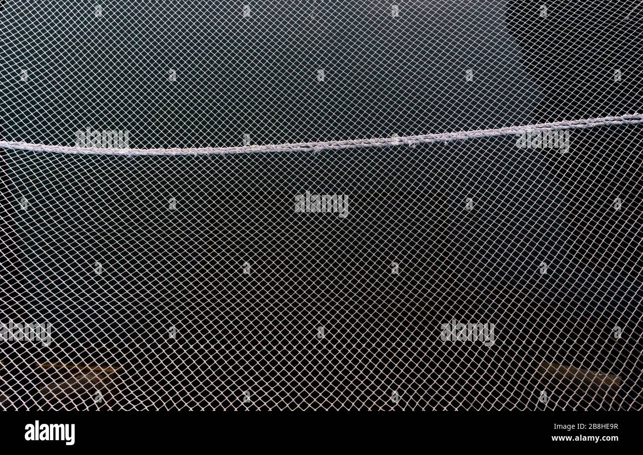 Mesh stretched until tight Stock Photo - Alamy
