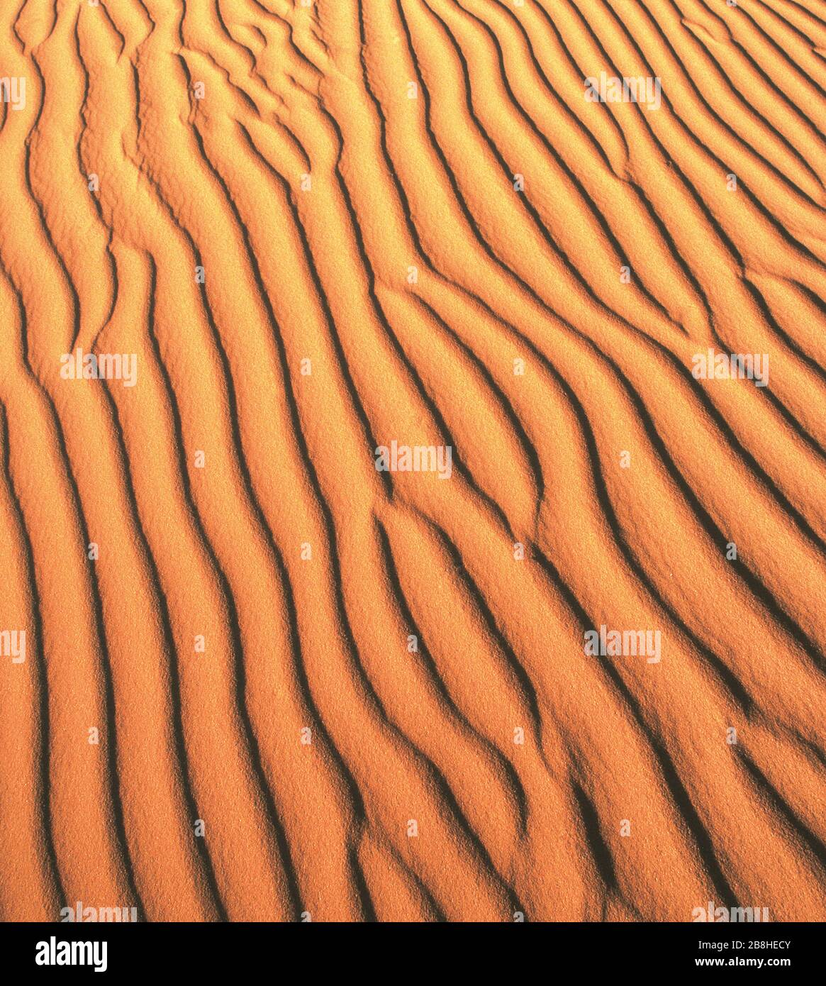 Natural pattern in sand dunes Stock Photo - Alamy