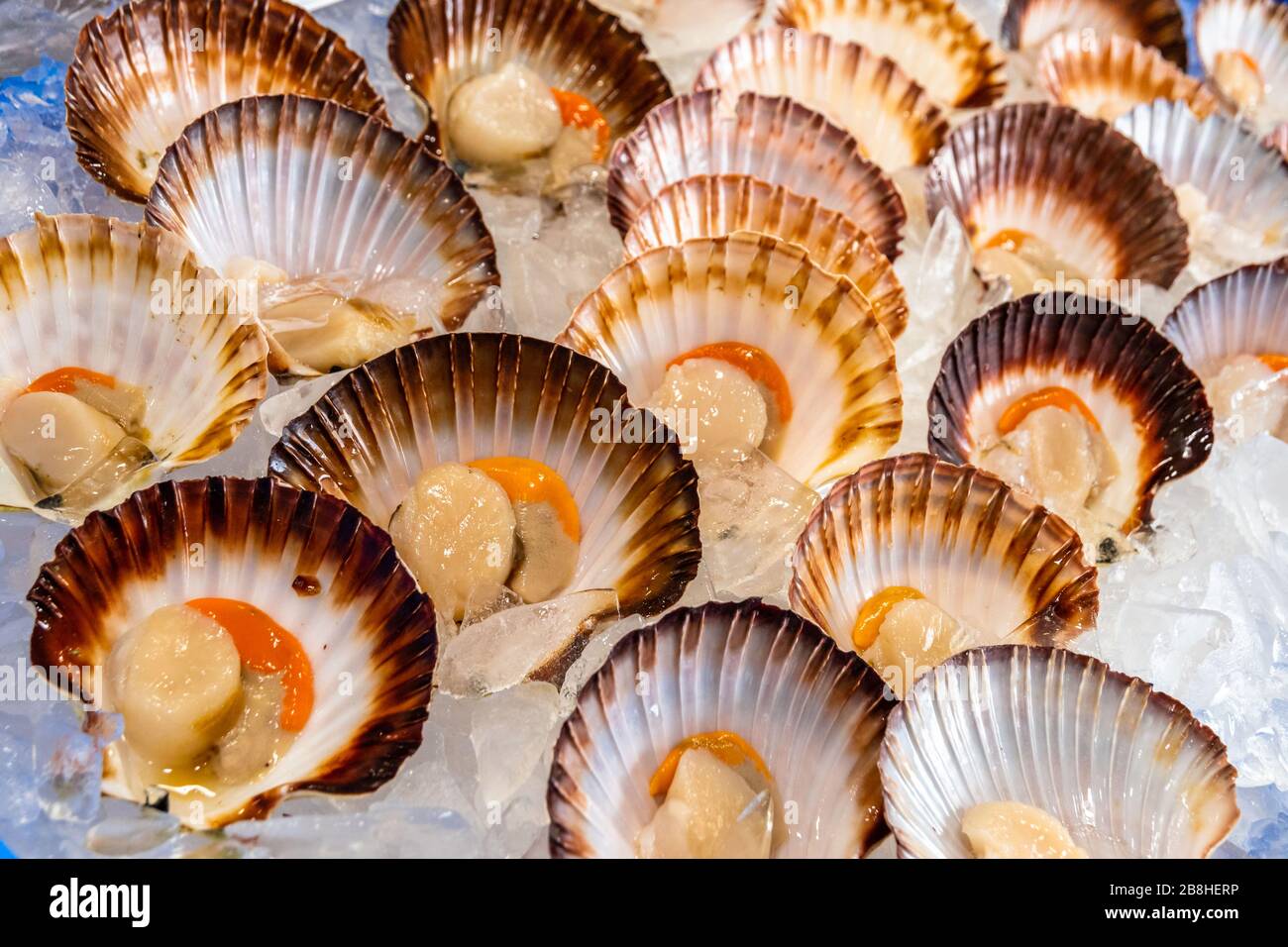 Raw sea scallop hi-res stock photography and images - Alamy