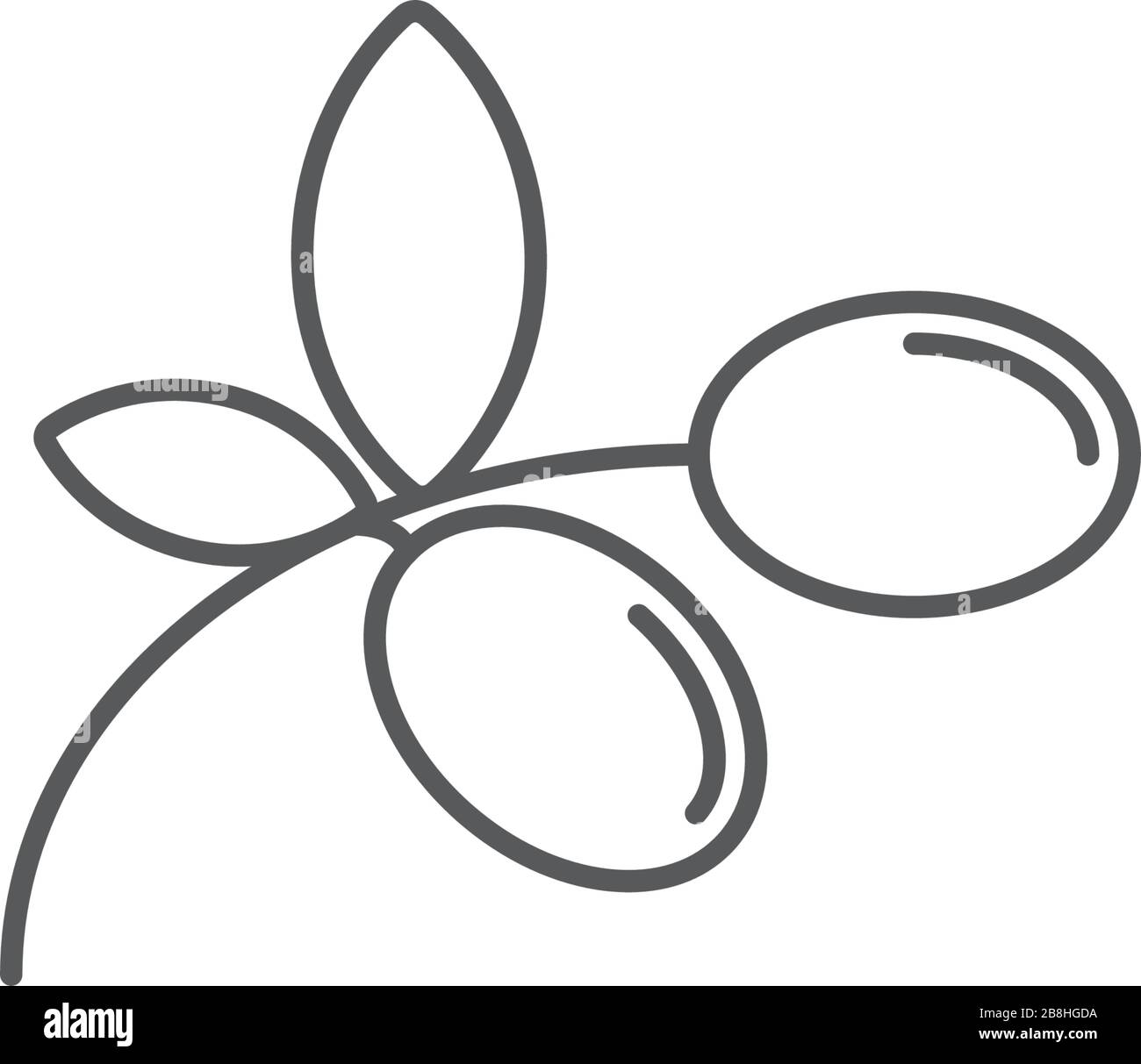 olives branch plant vector icon concept, isolated on white background ...