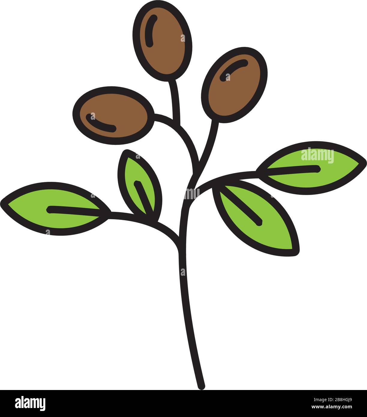 olives branch plant vector icon concept, isolated on white background ...