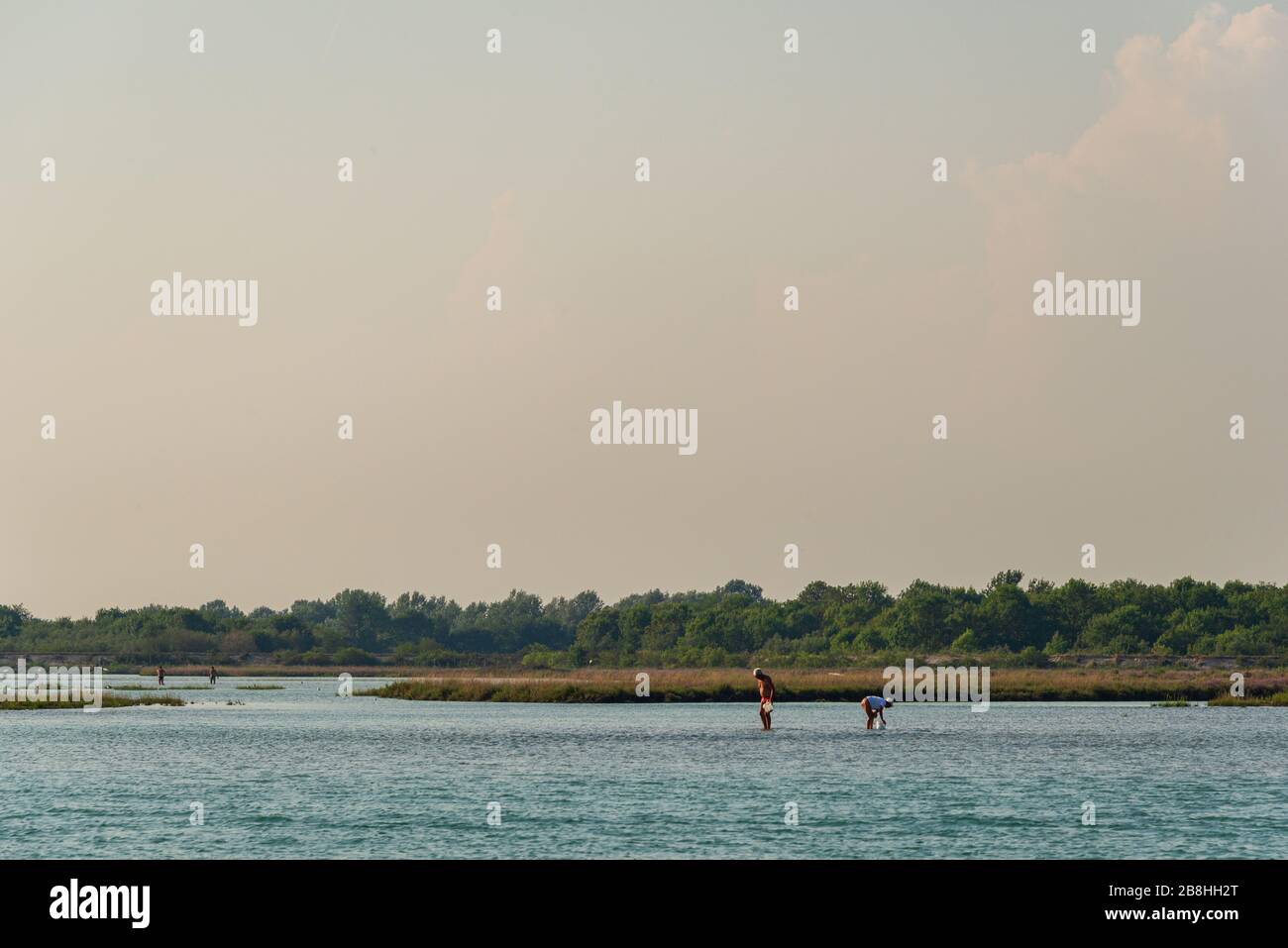 views of Bibione Pineda beach during a late summer day, Venice Stock ...