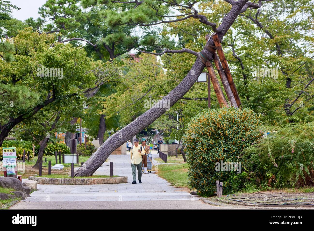 Falling branch road hi-res stock photography and images - Alamy