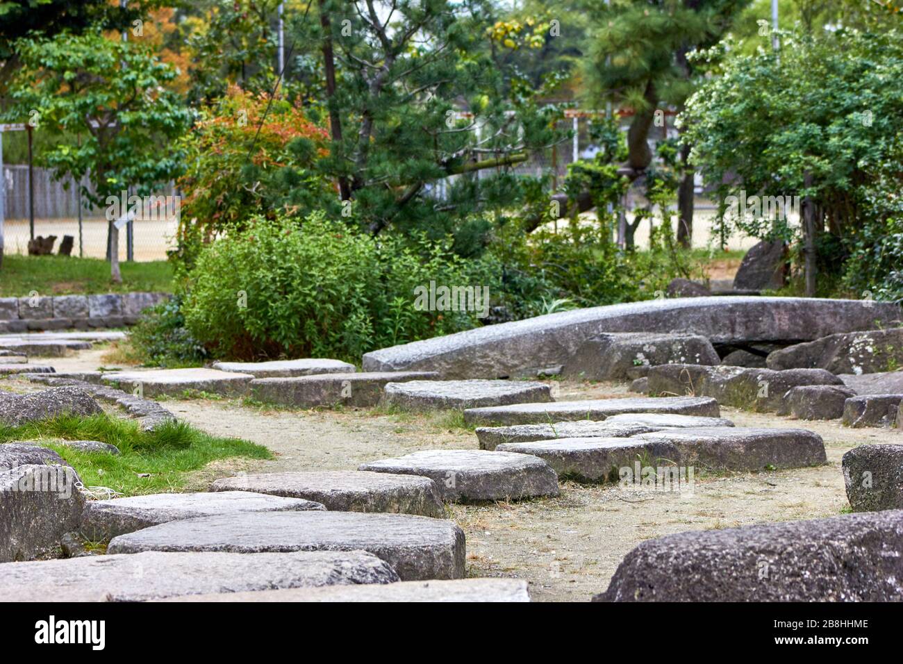 Stone way plant hi-res stock photography and images - Alamy