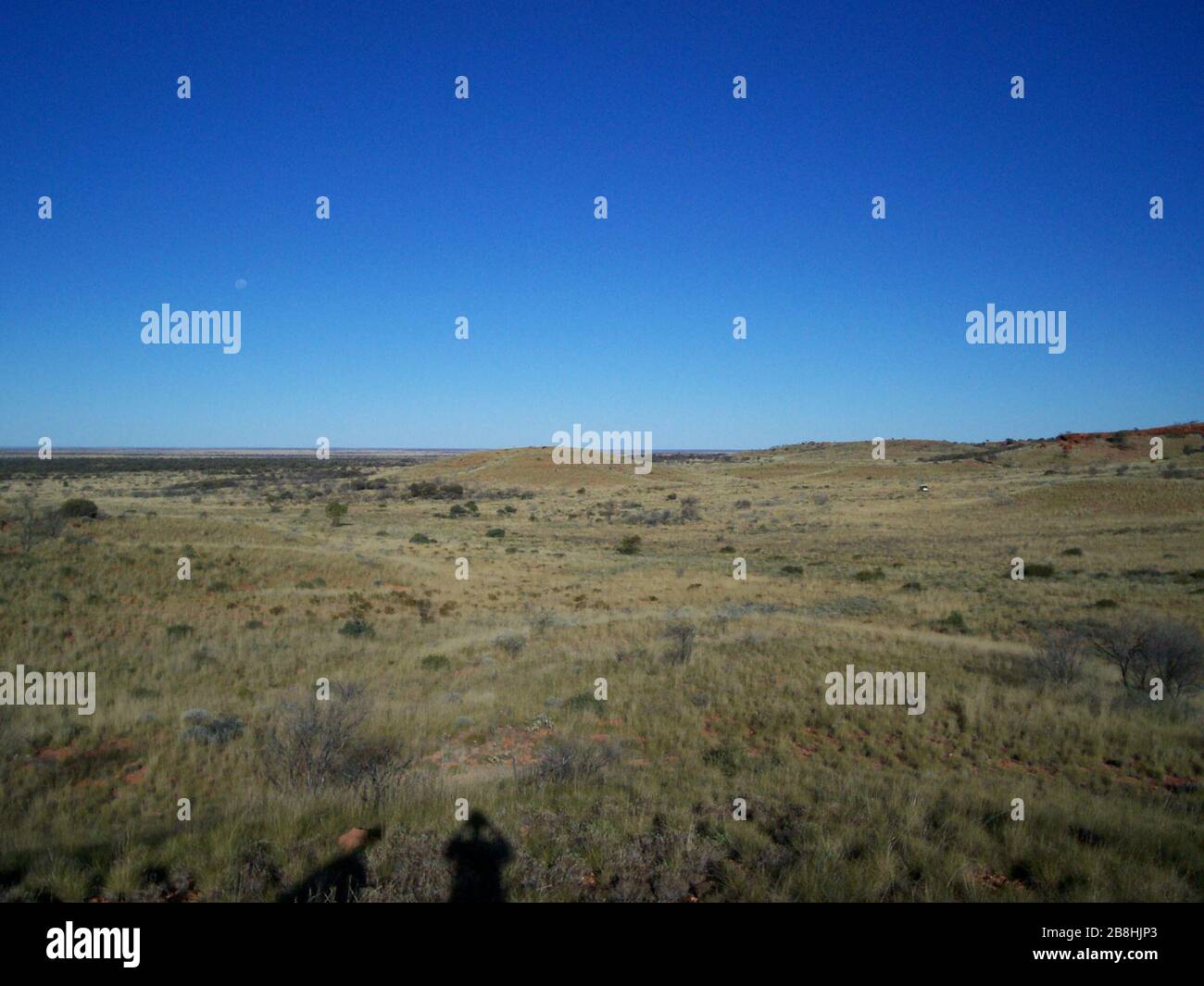 Typical english desert hi-res stock photography and images - Alamy