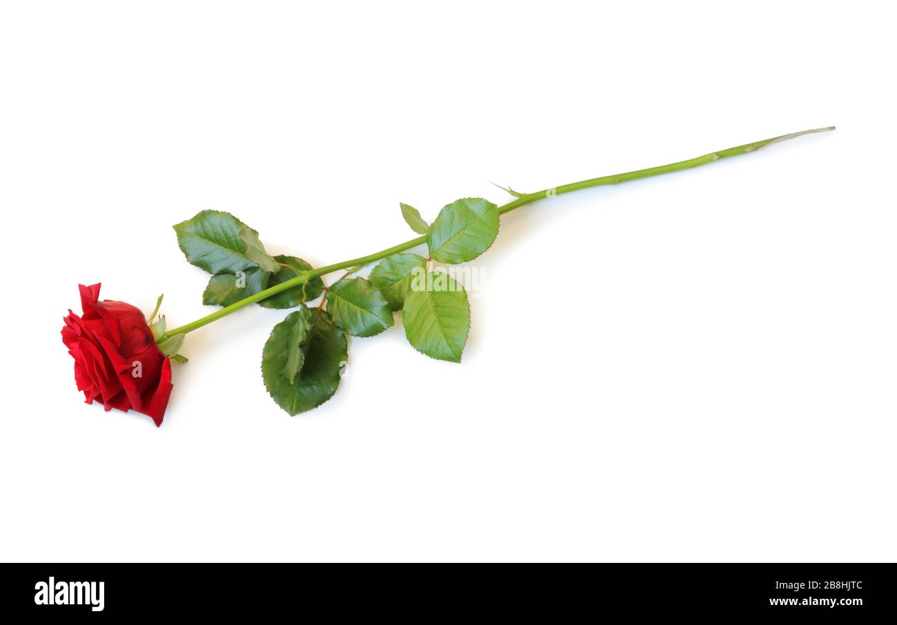 Without shade hi-res stock photography and images - Alamy