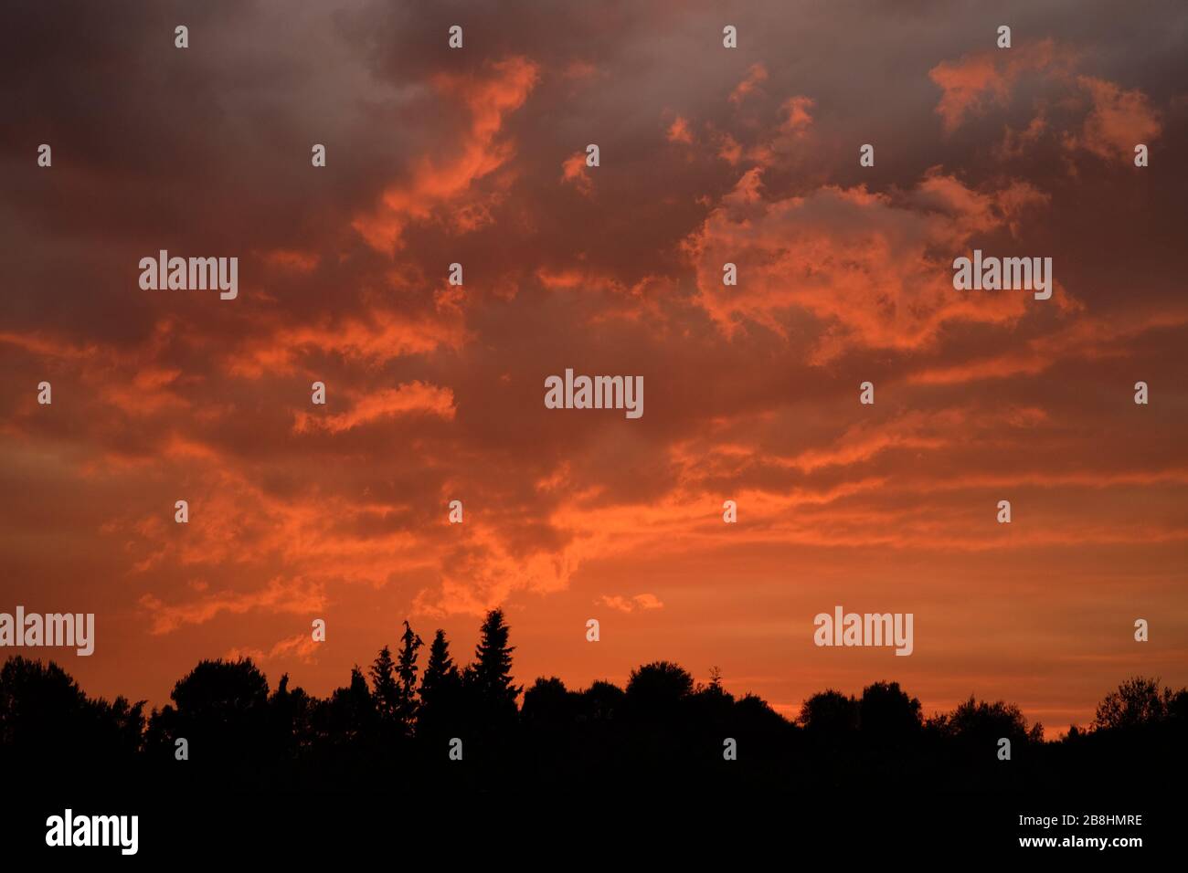Beautiful sunset colors in the clouds with a silhouette of a treeline ...