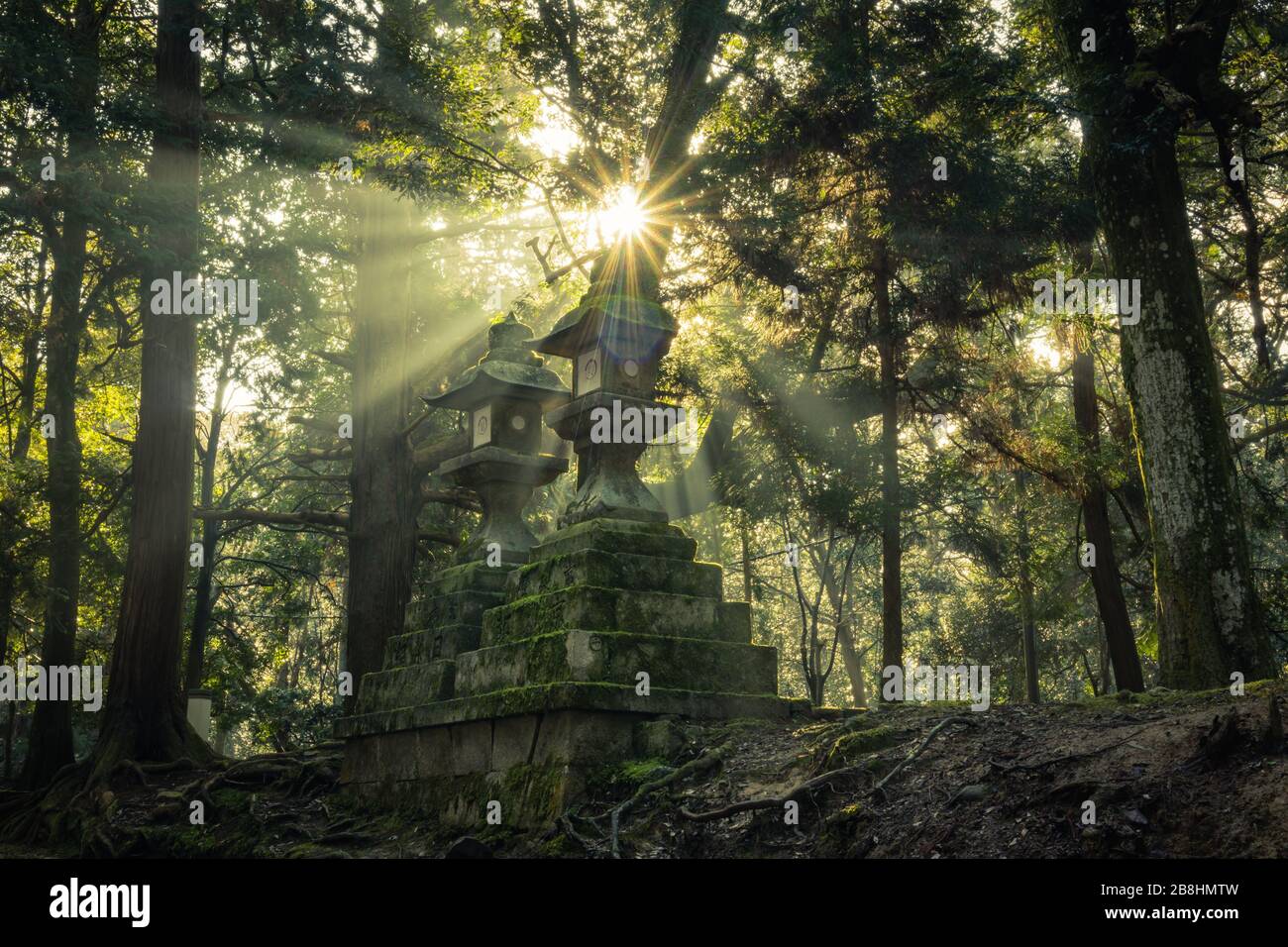 Sunlight shining on old Japanese stone lanterns in the grounds of ...