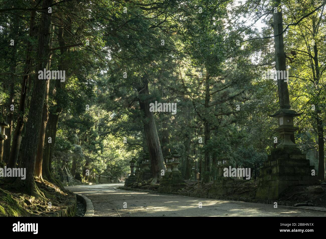 the forest path to Kasuga Grand Shrine, Nara, Japan Stock Photo - Alamy