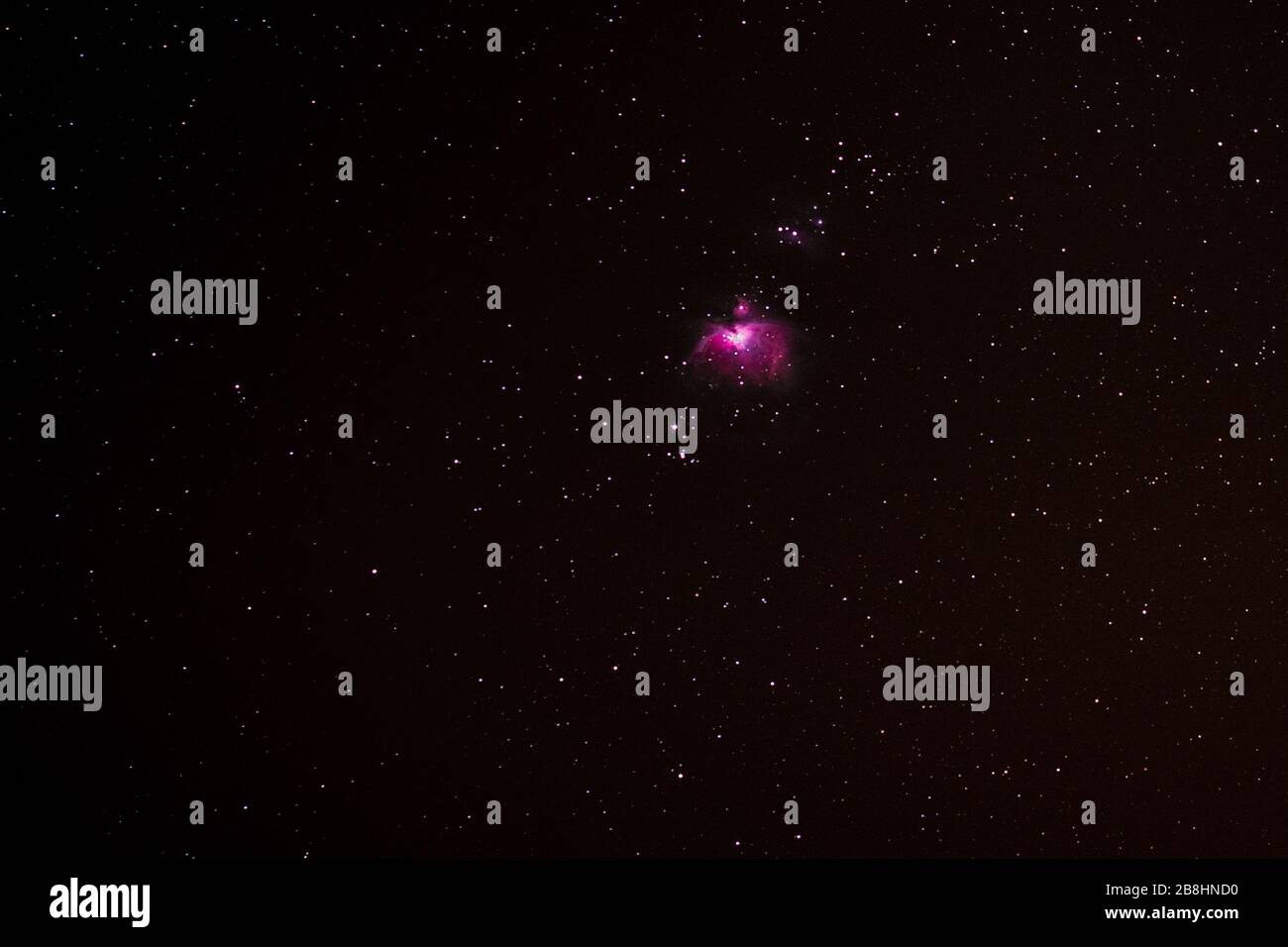 the pink Orion Nebula in the starry night sky Stock Photo - Alamy