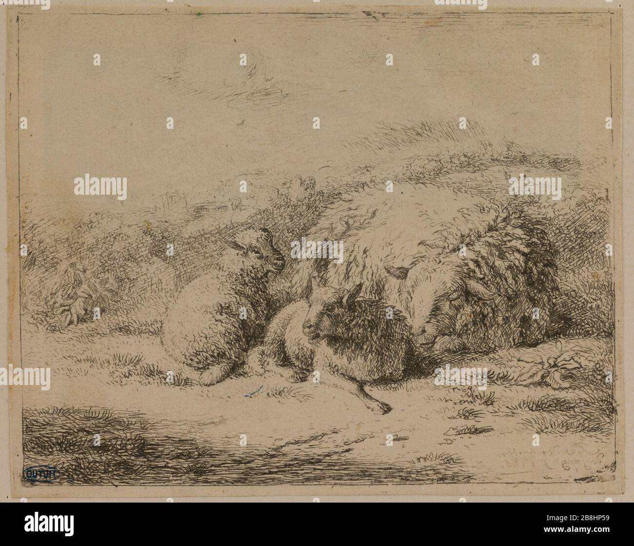 Sheep lying (Bartsch 1) Van Der Meer, Jan. "La Brebis couchée (Bartsch ...