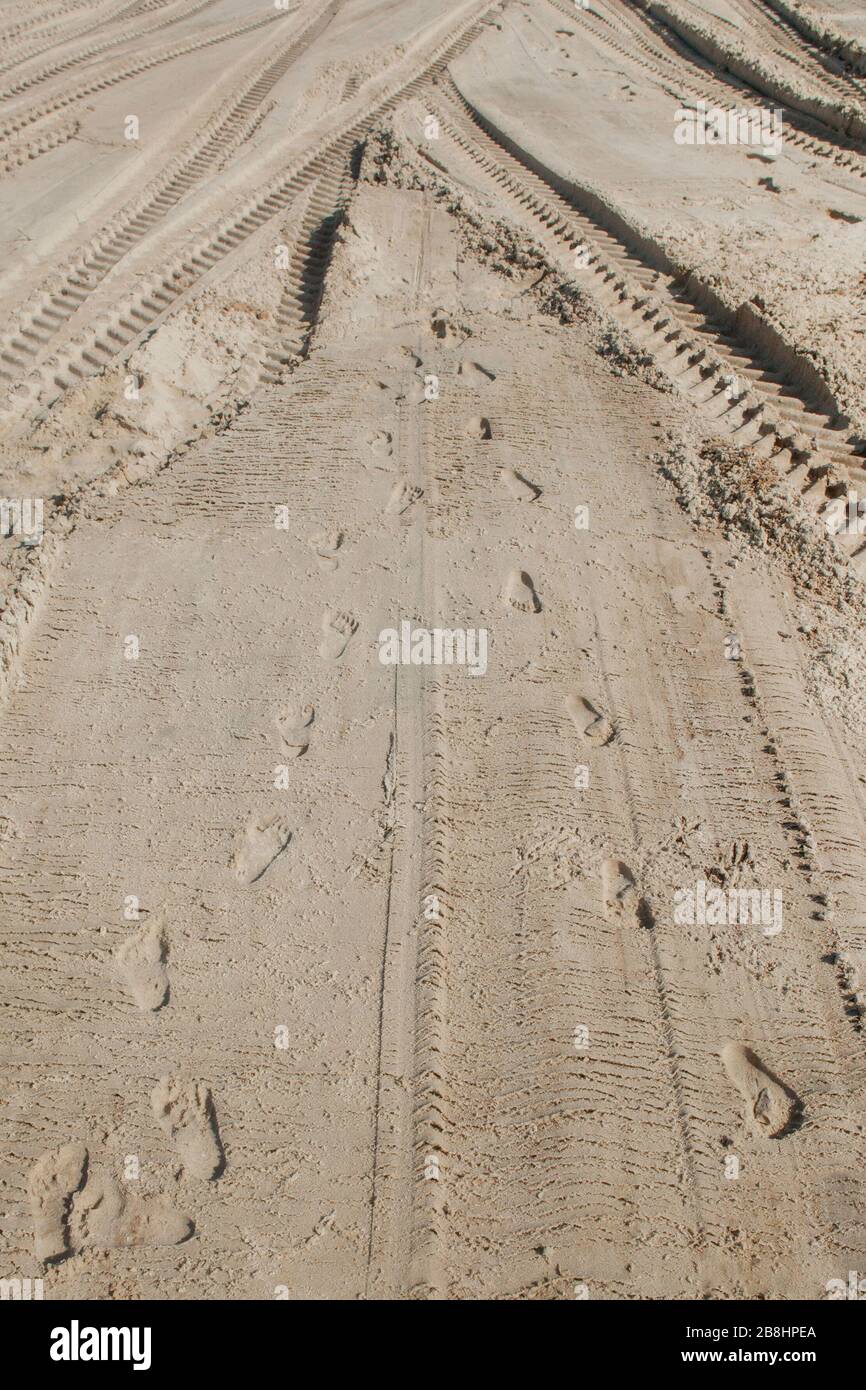 sand texture in the sea shore beach - retro, vintage style look Stock ...