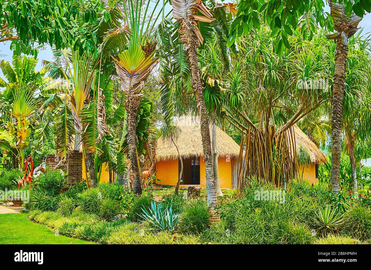 The lush palm trees, bushes and tall grasses hide the tribal huts of ...