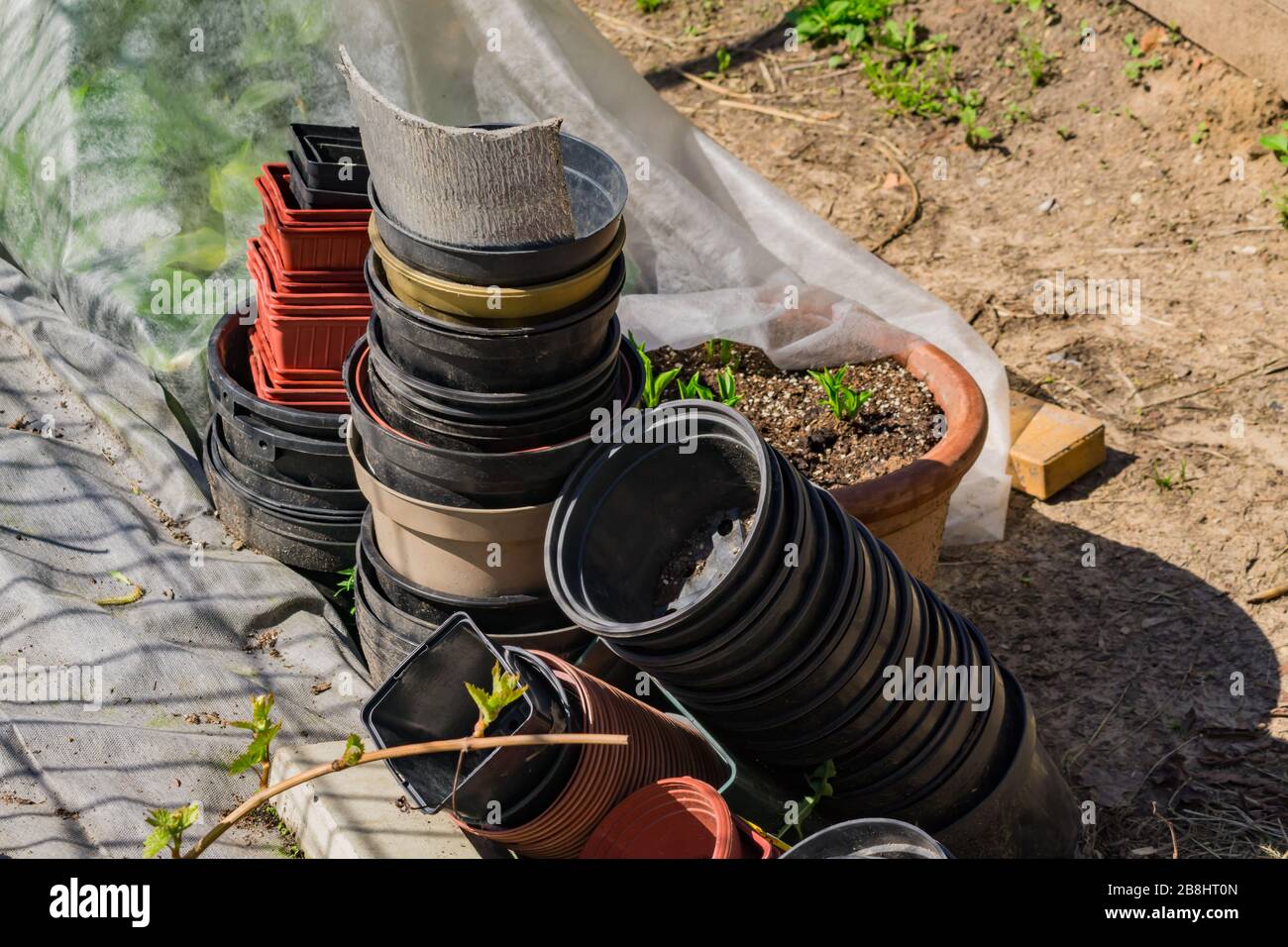 Seeding material hi-res stock photography and images - Alamy