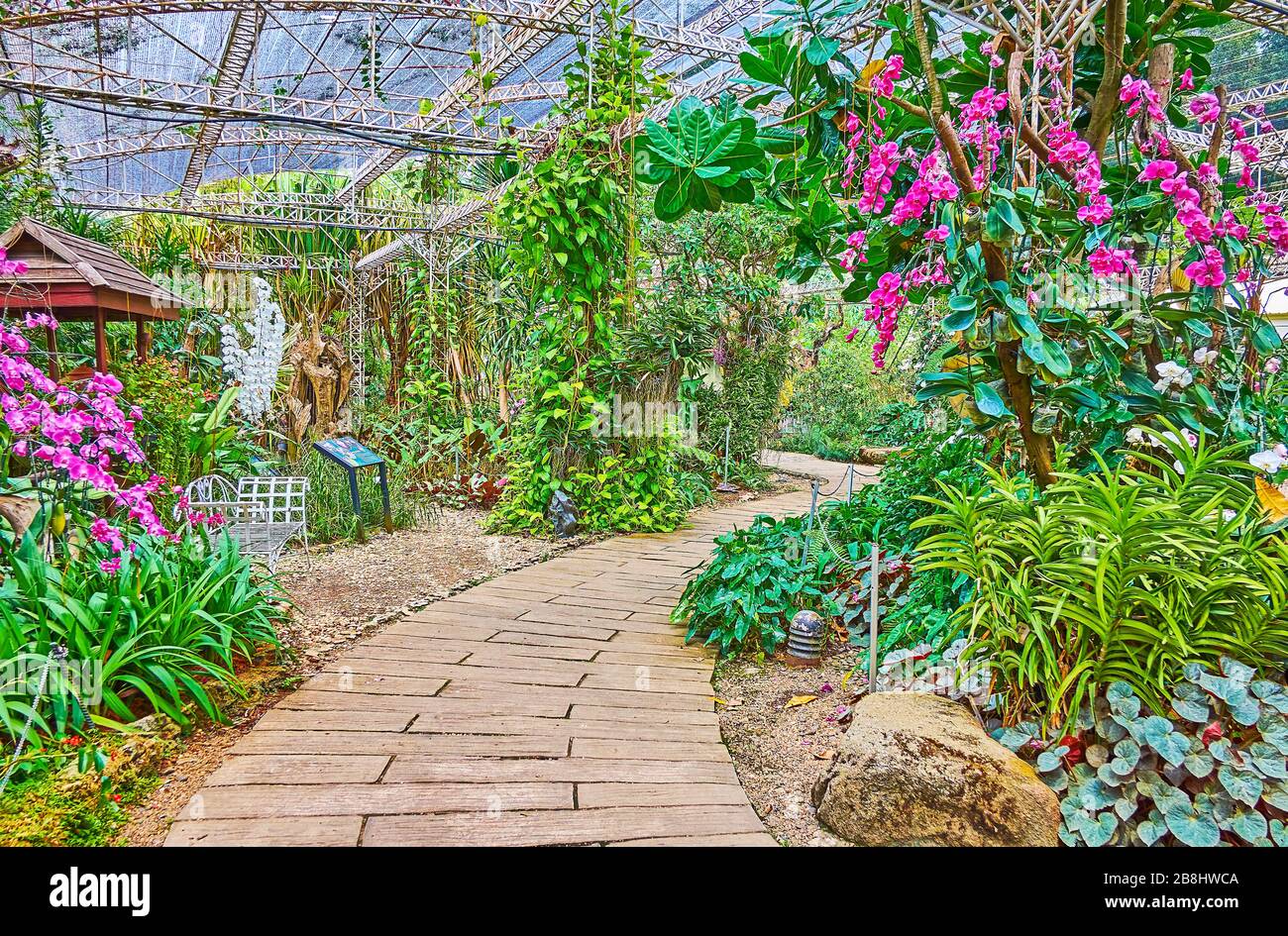 CHIANG MAI, THAILAND - MAY 7, 2019: Walk through the glasshouse of ...