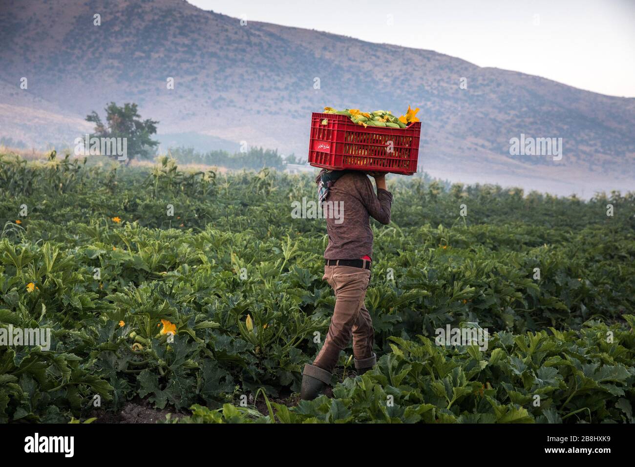 Niñas trabajo infantil hi-res stock photography and images - Alamy