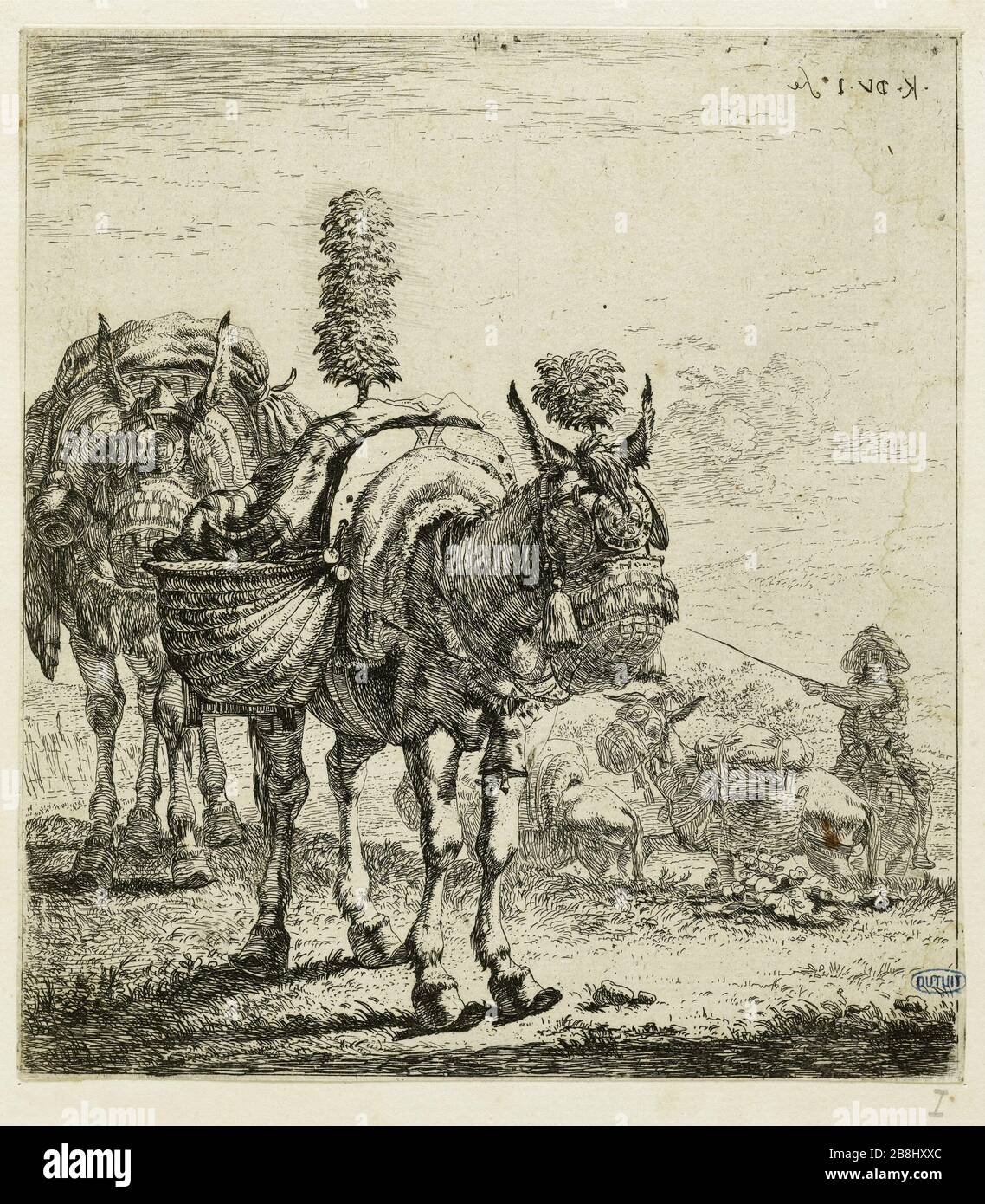 Mulets hi-res stock photography and images - Alamy