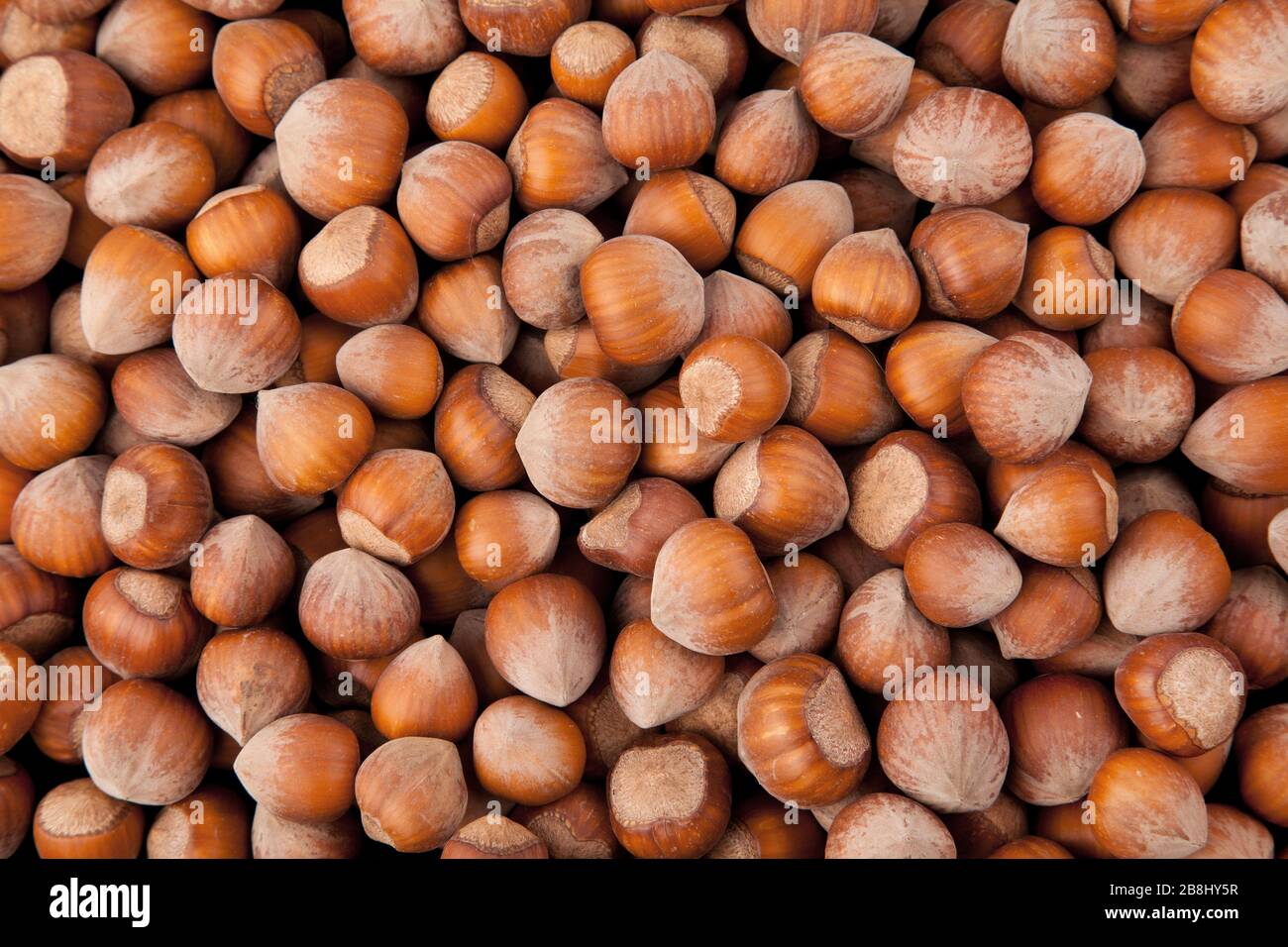 Hazelnuts, for backgrounds or textures Stock Photo - Alamy