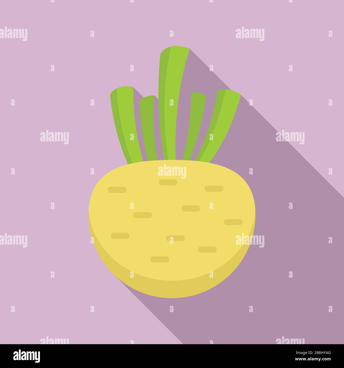 Detailed celeriac Stock Vector Images - Alamy